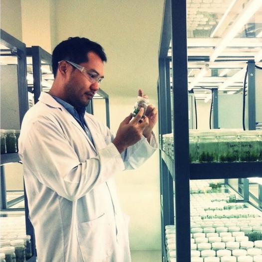 “กบจำศีล” เบื้องหลัง OptiBreath® แพคเกจจิ้งมหัศจรรย์ยืดอายุผักผลไม้ ตอบ ...